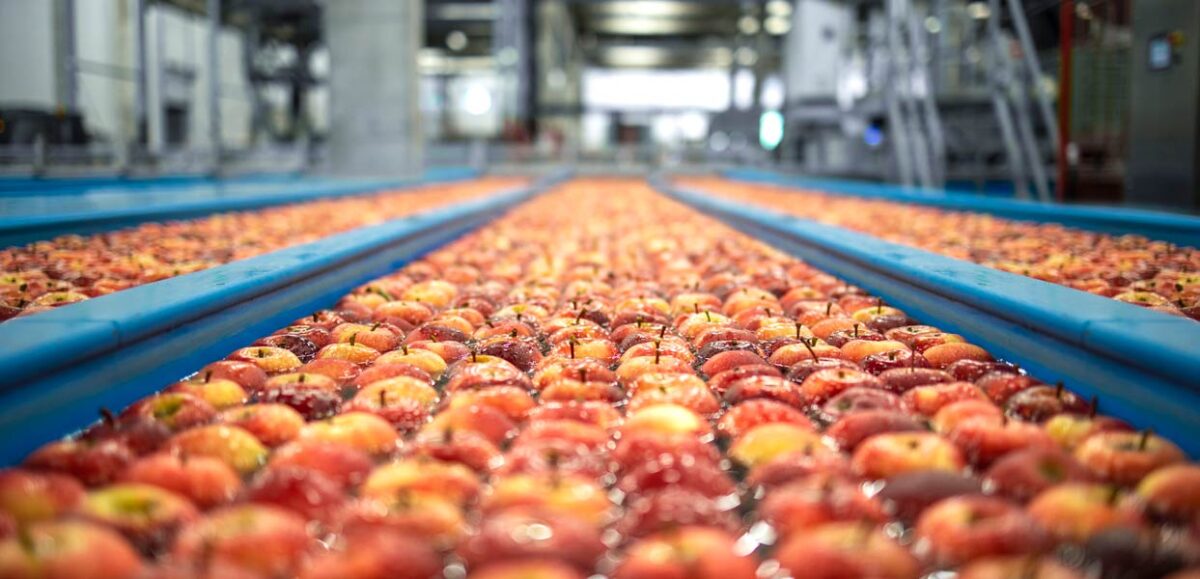 Industria – QualityLabs