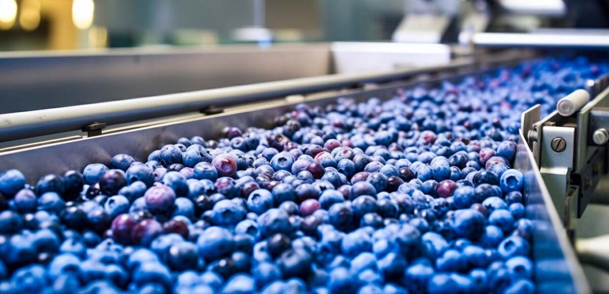 Industria – QualityLabs